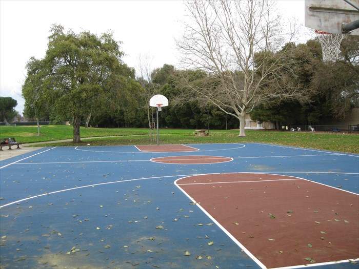 The Muirwood Park experiment, revisited… – Bulldogs Futsal Club